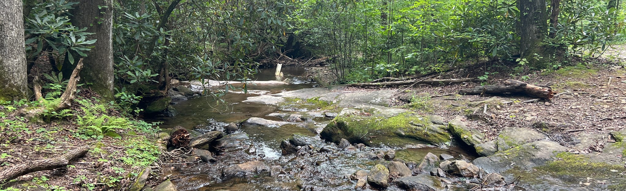 Little Ridge Creek Falls, Georgia - 21 Reviews, Map | AllTrails