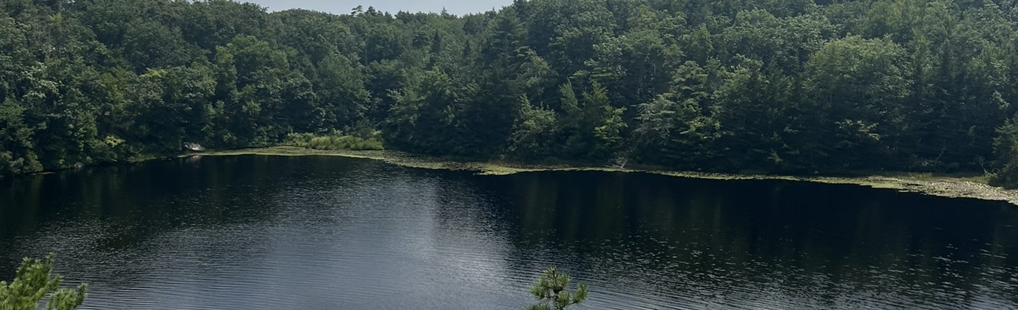 Long and Ell Pond Trail, Rhode Island - 181 Reviews, Map | AllTrails