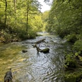 Greer Spring Trail, Missouri - 338 Reviews, Map | AllTrails