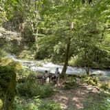 Greer Spring Trail, Missouri - 338 Reviews, Map | AllTrails