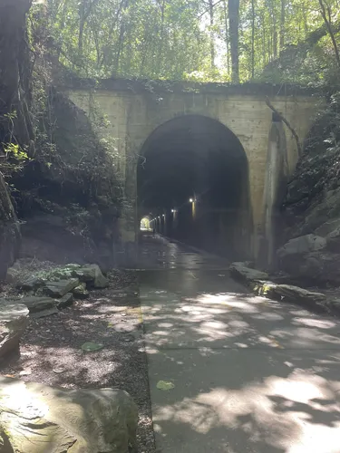 2023 Best Lake Trails in Rockmart | AllTrails