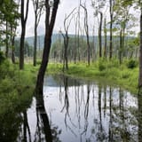 Lindsay-Parsons Biodiversity Preserve Trails, New York - 122 Reviews ...