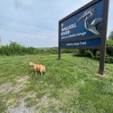 Liberty Loop Trail, New York - 416 Reviews, Map | AllTrails