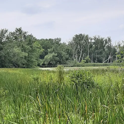 Best Hikes and Trails in Tifft Nature Preserve | AllTrails