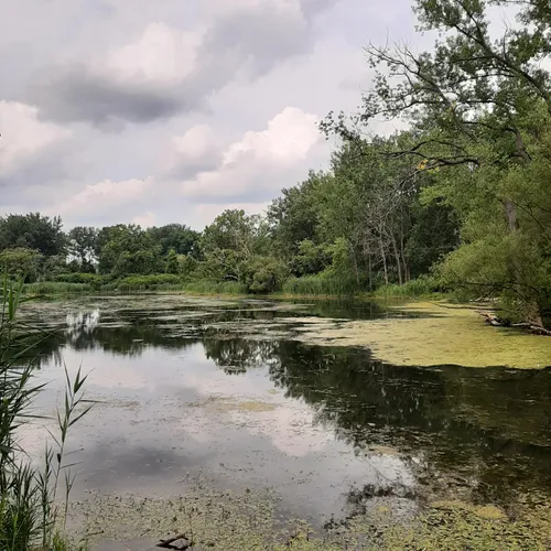 Best Hikes and Trails in Tifft Nature Preserve | AllTrails
