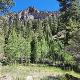 Mary Jane Falls Trail, Nevada - 4,687 Reviews, Map | AllTrails