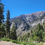 Mary Jane Falls Trail, Nevada - 4,687 Reviews, Map | AllTrails