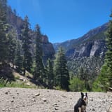 Mary Jane Falls Trail, Nevada - 4,687 Reviews, Map | AllTrails