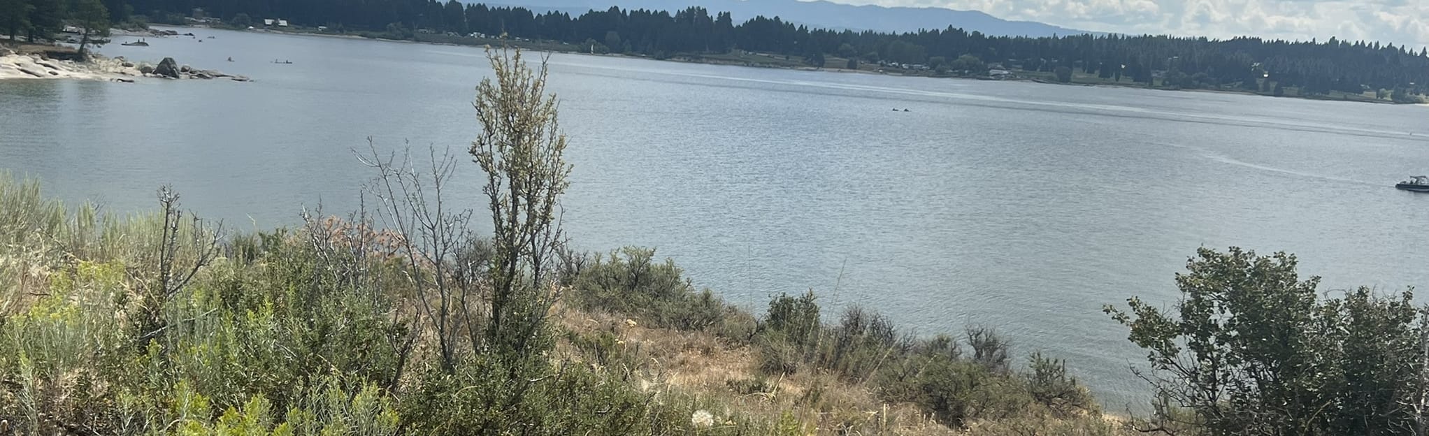 Crown Point Trail, Idaho - 235 Reviews, Map | AllTrails