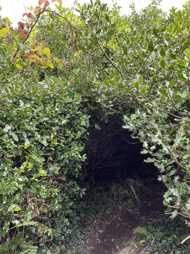 2023 Best Walking Trails in Derrynane National Historic Park | AllTrails