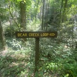 Bear Creek and Pinhoti Loop, Georgia - 592 Reviews, Map | AllTrails
