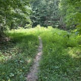 Bear Creek and Pinhoti Loop, Georgia - 592 Reviews, Map | AllTrails