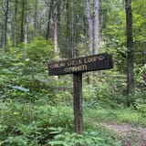 Bear Creek and Pinhoti Loop, Georgia - 592 Reviews, Map | AllTrails