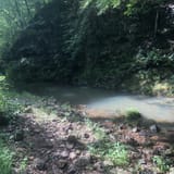 Red Cedar Trail, Illinois - 509 Reviews, Map | AllTrails