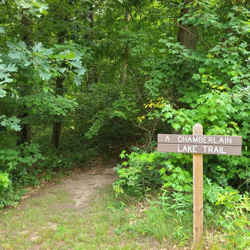 Best Hikes and Trails in Chamberlain Lake Nature Preserve | AllTrails