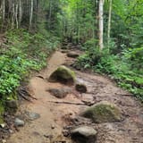 The Wolves Trail, Quebec, Canada - 1,537 Reviews, Map | AllTrails