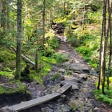 The Wolves Trail, Quebec, Canada - 1,537 Reviews, Map | AllTrails