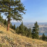 Chelan Butte Trail, Washington - 545 Reviews, Map | AllTrails