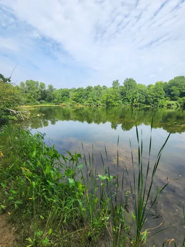 Best Hikes and Trails in Myeerah Nature Preserve | AllTrails