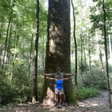 Bear Creek and Pinhoti Loop, Georgia - 592 Reviews, Map | AllTrails