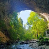 Buggytop Trail to Lost Cove Cave, Tennessee - 741 Reviews, Map | AllTrails