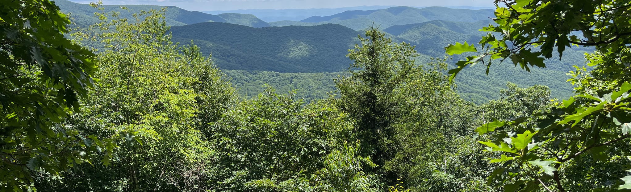 Bear Pen Gap Trail: 159 Reviews, Map - North Carolina | AllTrails