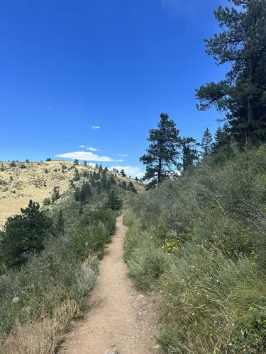 Best Hikes and Trails in Apex Park | AllTrails