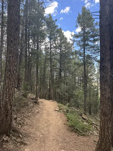 Best Hikes and Trails in Apex Park | AllTrails