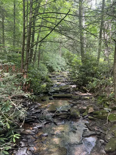 Best Hikes and Trails in New Germany State Park | AllTrails