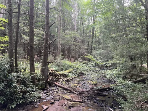 Best Hikes and Trails in New Germany State Park | AllTrails