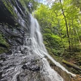 Sill Branch Falls, Tennessee - 677 Reviews, Map | AllTrails