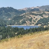 Lake Lagunitas, California - 570 Reviews, Map | AllTrails