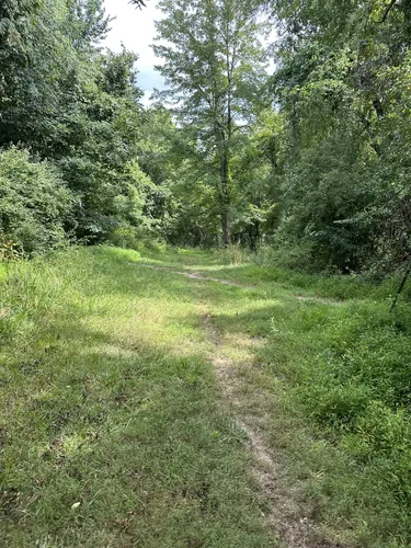 Best Hikes and Trails in Codorus State Park | AllTrails