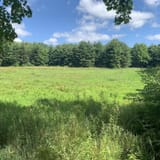 Rock Dunder, Ontario, Canada - 1,025 Reviews, Map | AllTrails