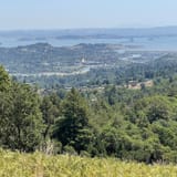 Lake Lagunitas, California - 586 Reviews, Map | AllTrails