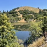Lake Lagunitas, California - 645 Reviews, Map | AllTrails