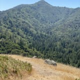 Lake Lagunitas, California - 586 Reviews, Map | AllTrails