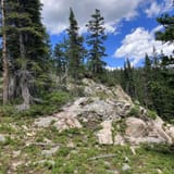 Forest Lakes Trail, Colorado - 765 Reviews, Map | AllTrails