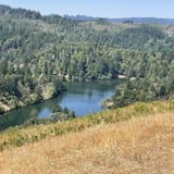 Lake Lagunitas, California - 645 Reviews, Map | AllTrails