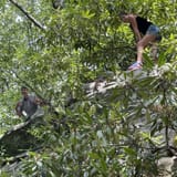 Rock Maze Trail, Maryland - 600 Reviews, Map | AllTrails