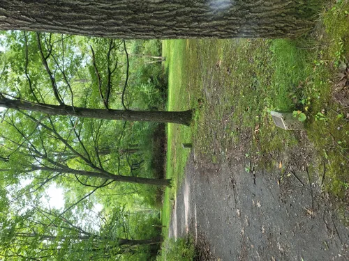 Best Hikes and Trails in Lederer Park | AllTrails