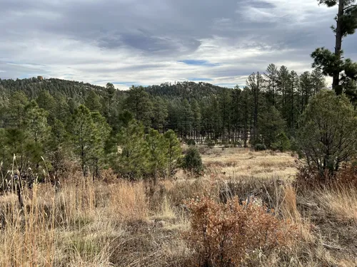 10 Best Trails and Hikes in Ruidoso | AllTrails