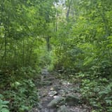 Parnell Tower Trail, Wisconsin - 813 Reviews, Map | AllTrails