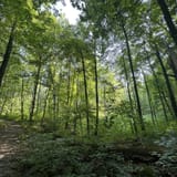 Parnell Tower Trail, Wisconsin - 813 Reviews, Map | AllTrails