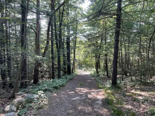 10 Best Walking Trails in Gloucester | AllTrails