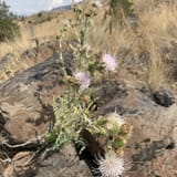 Blue Basin Overlook Loop, Oregon - 432 Reviews, Map | AllTrails