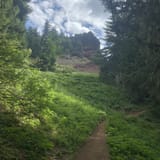 Cone Peak Trail, Oregon - 610 Reviews, Map | AllTrails