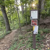 Glover-Archbold Trail, District of Columbia - 502 Reviews, Map | AllTrails