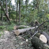 Glover-Archbold Trail, District of Columbia - 488 Reviews, Map | AllTrails