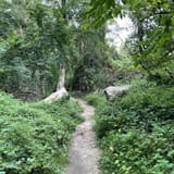 Glover-Archbold Trail, District of Columbia - 488 Reviews, Map | AllTrails